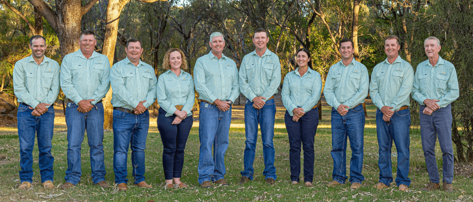 Contact - Emerald Auction Centre