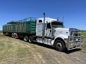 Emerald Auction Centre